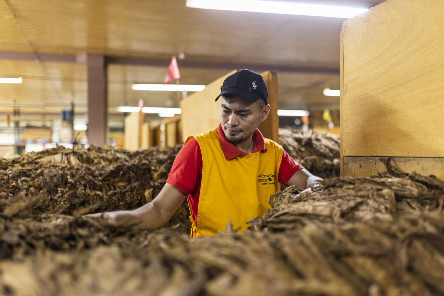 Nuestras fábricas - Tabacalera