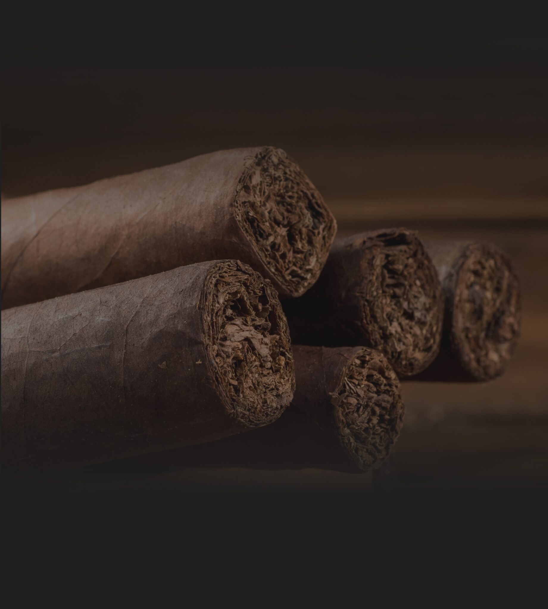 El cigarro - Tabacalera