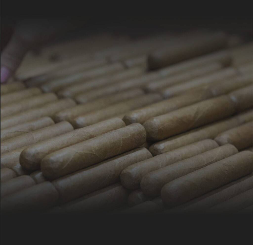 El cigarro - Tabacalera