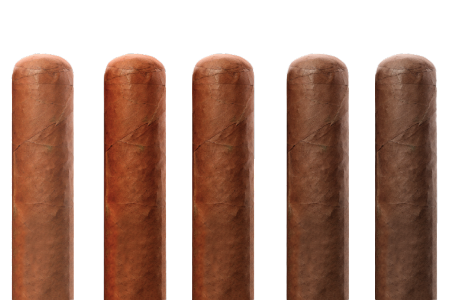 El cigarro - Tabacalera